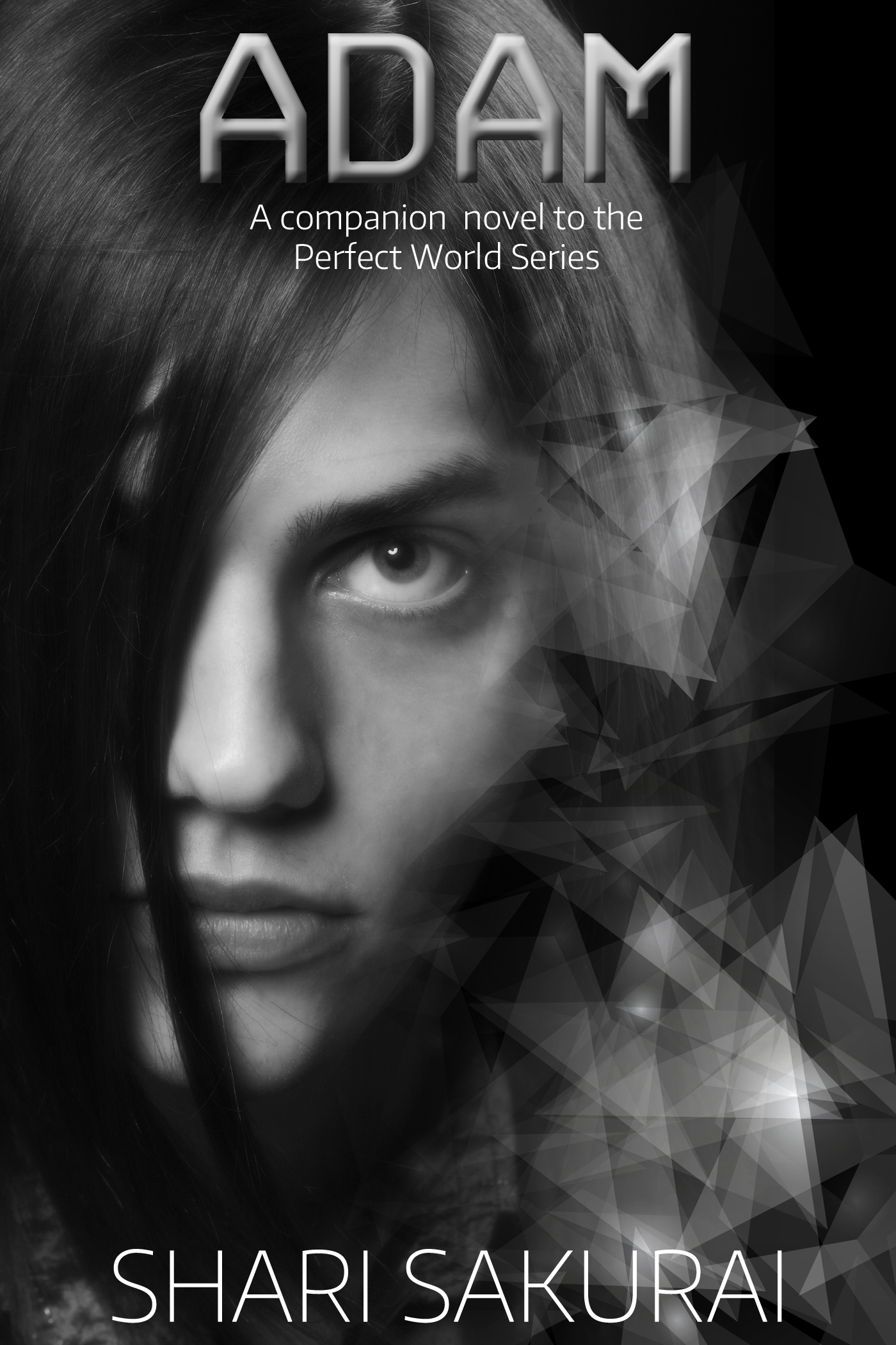 Novels – Shari Sakurai