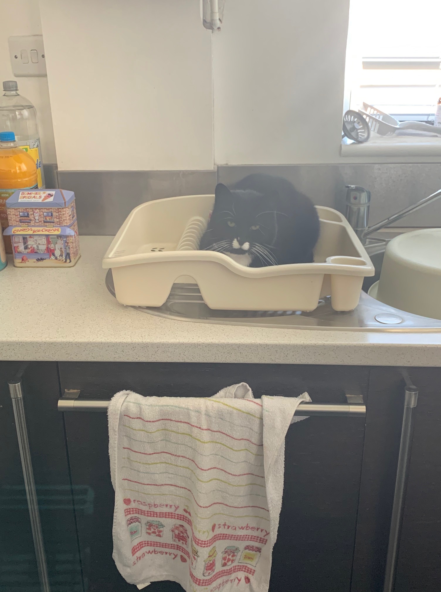 What Day is it Anyway? Sunday, 5th April 2020 – Shari Sakurai